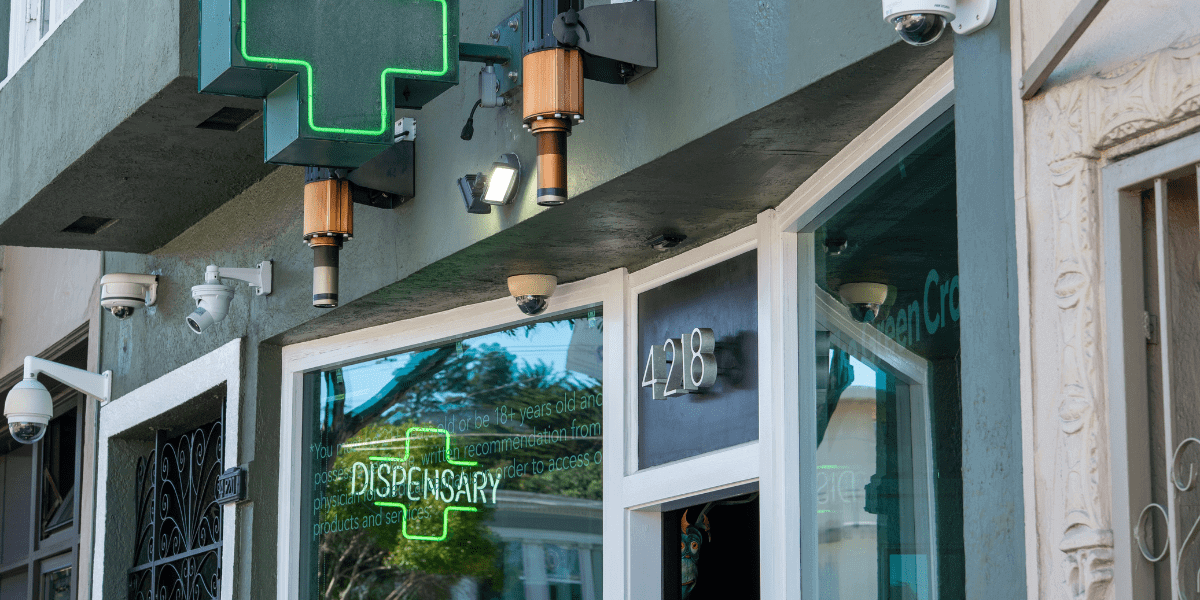 Top 10 Popular Strains of Cannabis in Massachusetts - MedWell Health ...